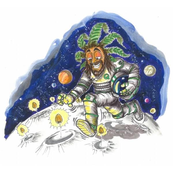 Quantamon Seeds - Moonlight - 5 auto